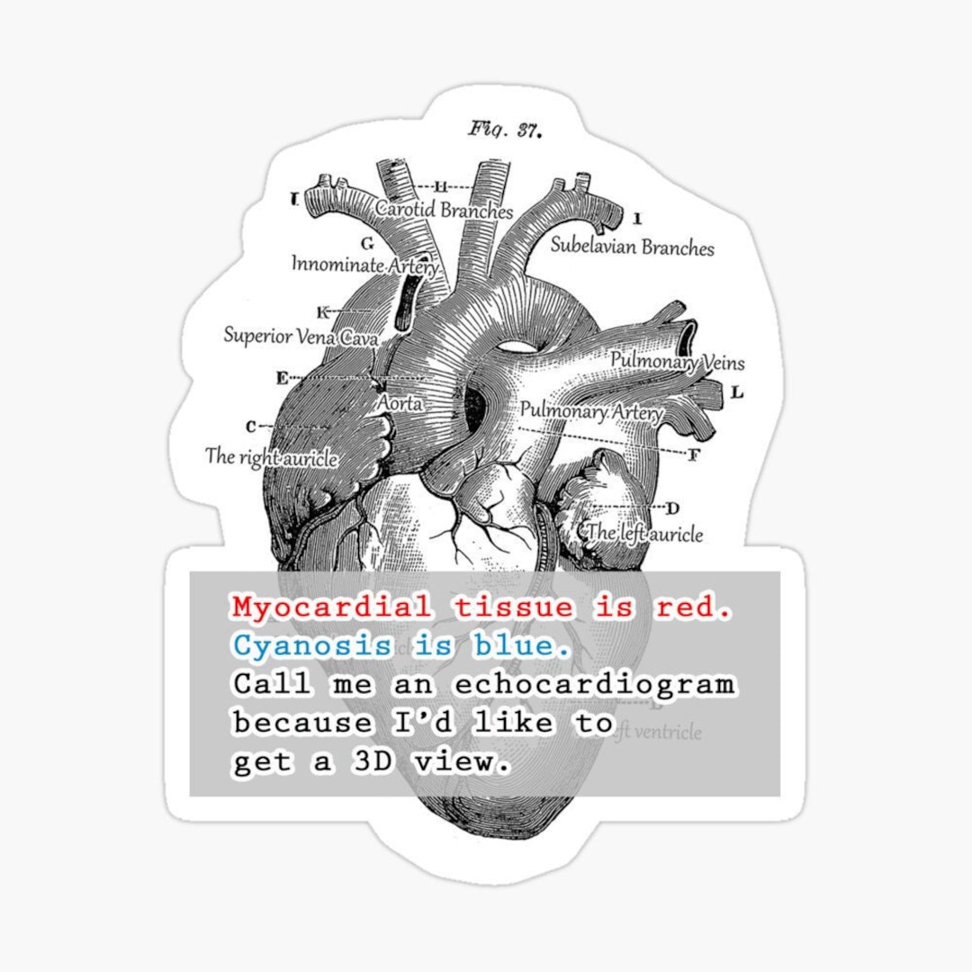 Anatomical Heart Funny Medical Poem Sticker, Valentines Day, Romantic ...