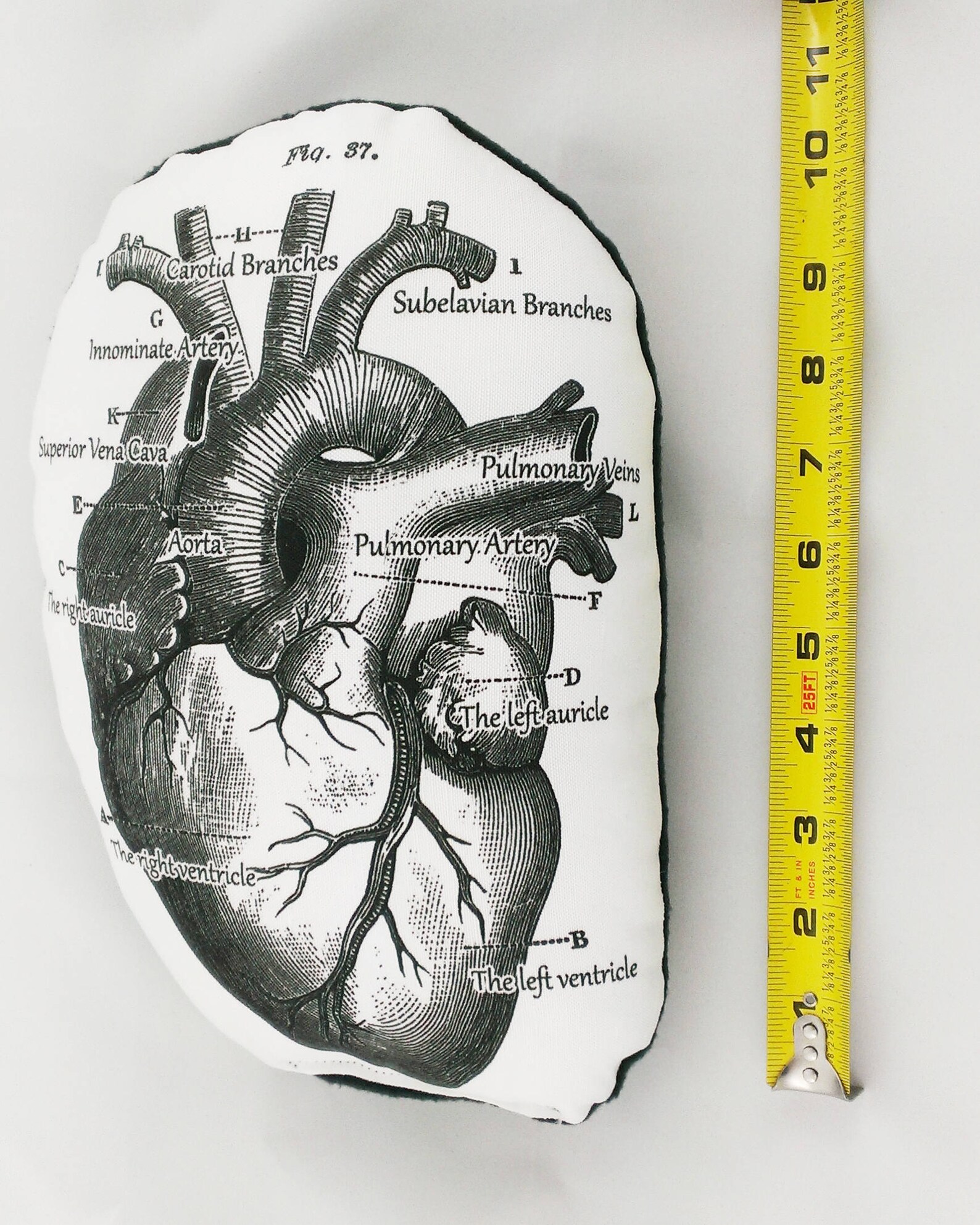 Anatomical Heart Pillow Medical School Gift for Surgeon Rn - Etsy