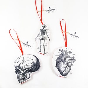 Anatomical Heart Christmas Ornament Nursing Student Christmas - Etsy