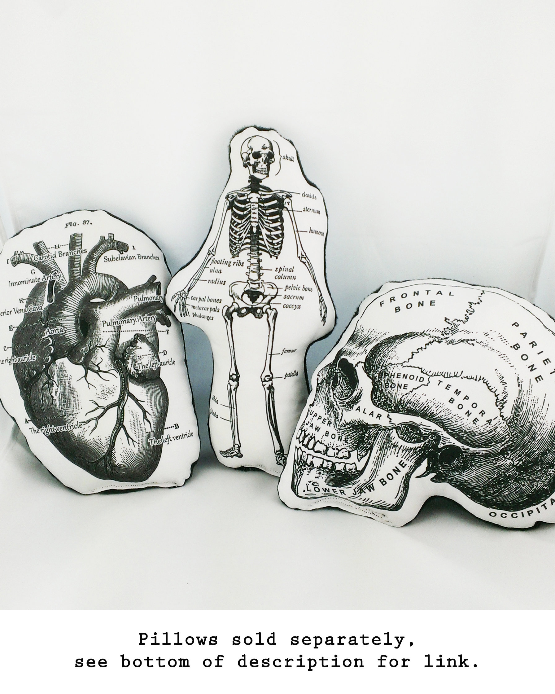 Brain Anatomy Pillow Neuroscience Psychologist Nurse Gift Medical ...