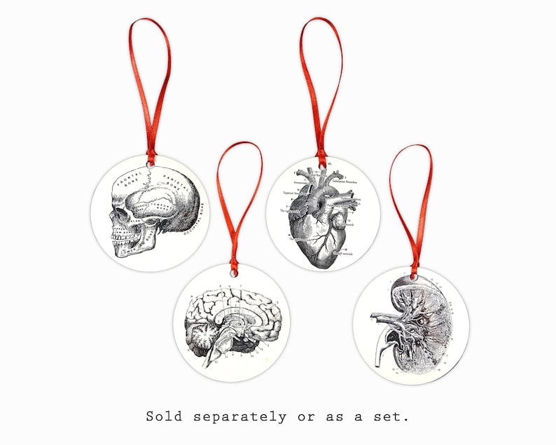 Anatomical Heart Christmas Ornament: Medical/nursing Student Gift - Etsy