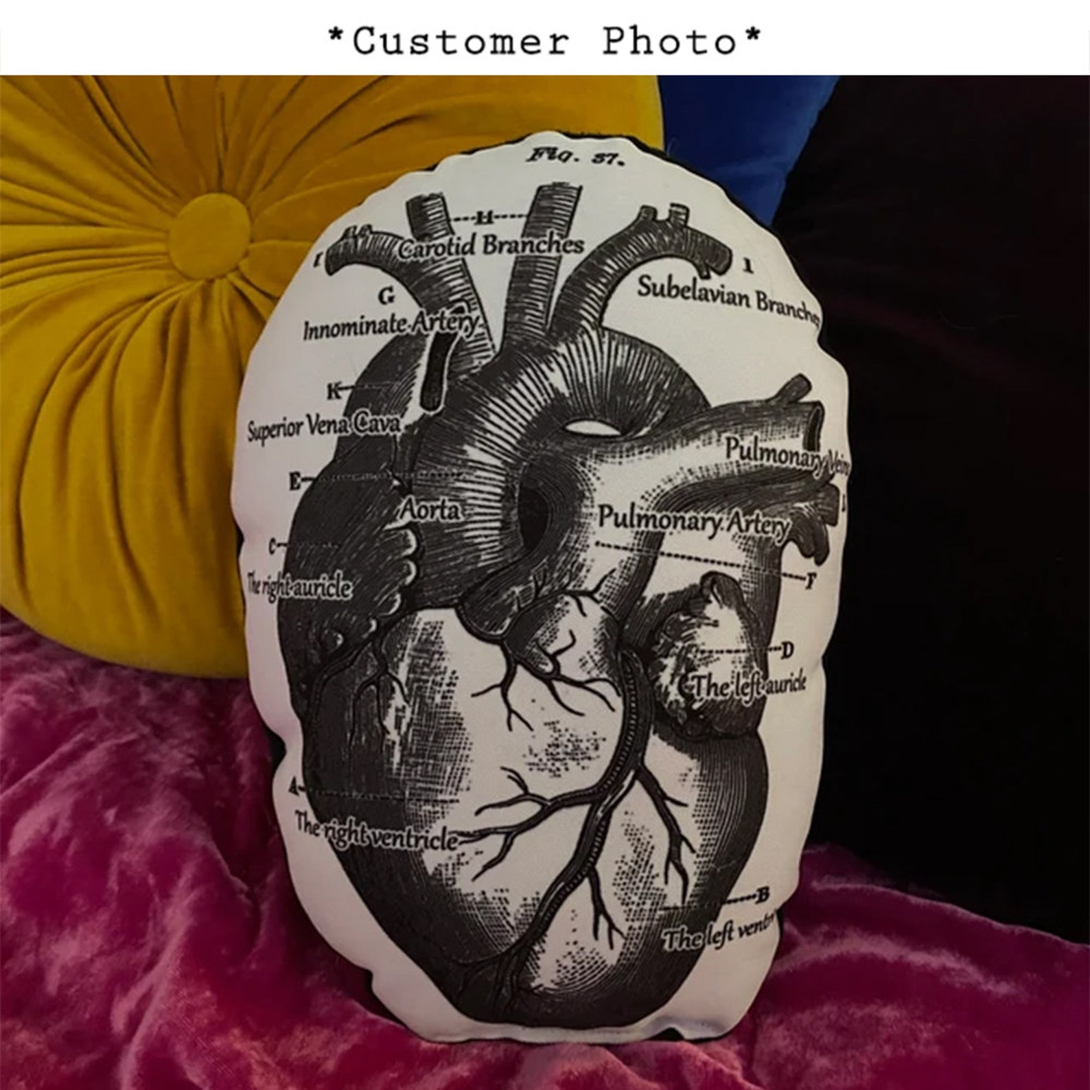 Anatomical Heart Pillow Medical School Gift for Surgeon Rn | Etsy