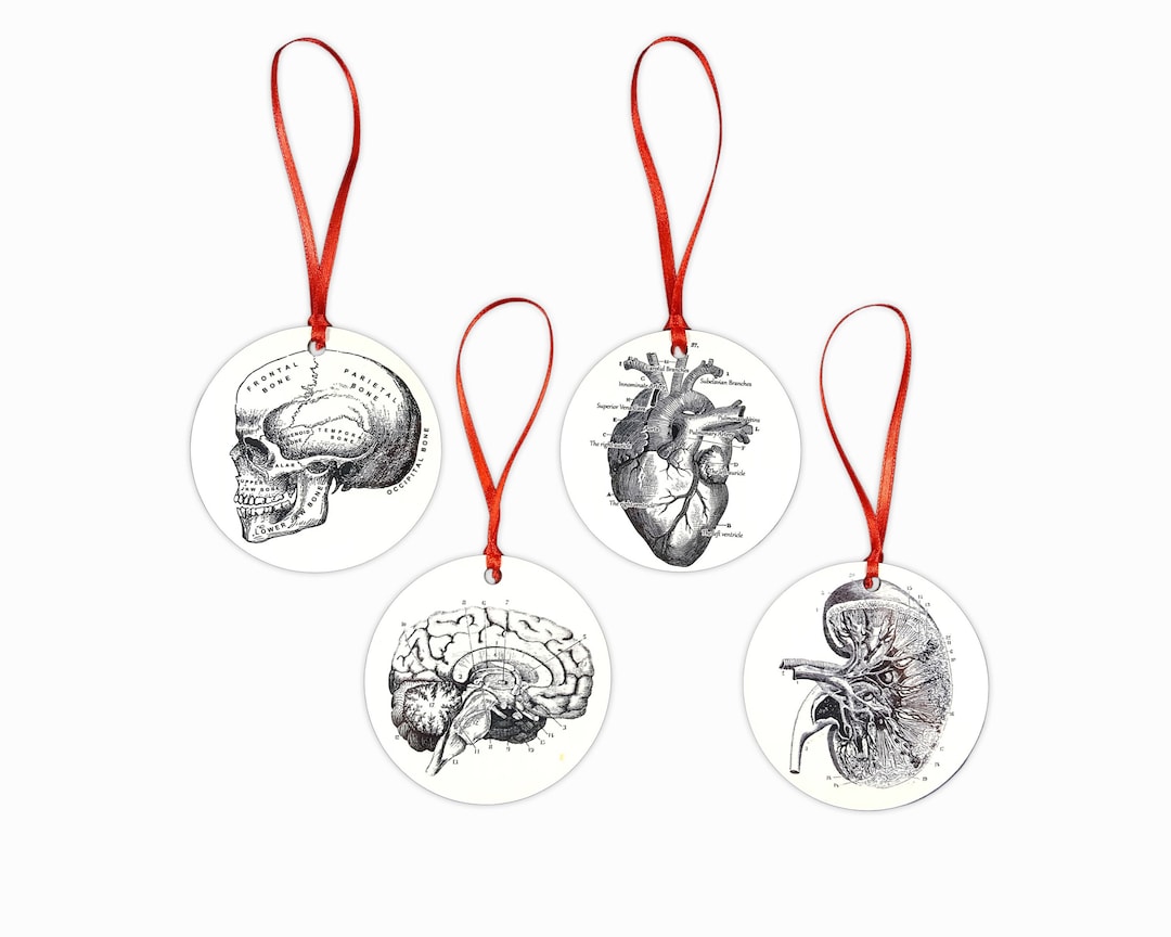 Anatomy Christmas Ornament Set, Anatomical Heart, Mental Health ...