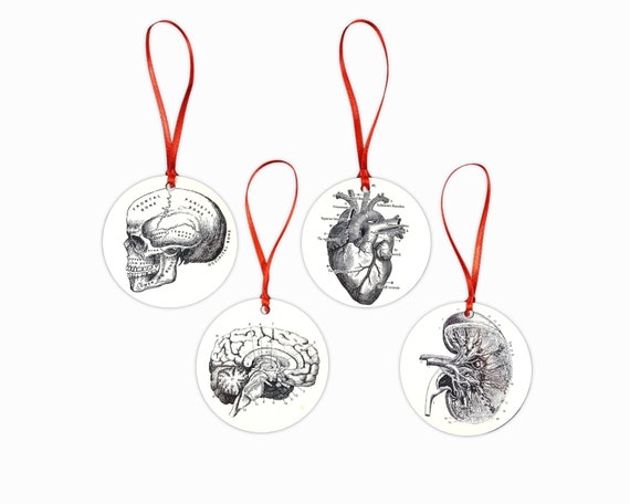 Anatomy Christmas Ornament Set Anatomical Heart Mental - Etsy