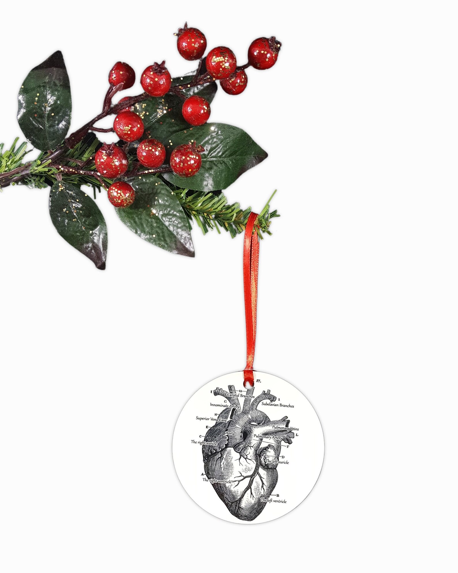 Anatomical Heart Christmas Ornament Nursing Student - Etsy