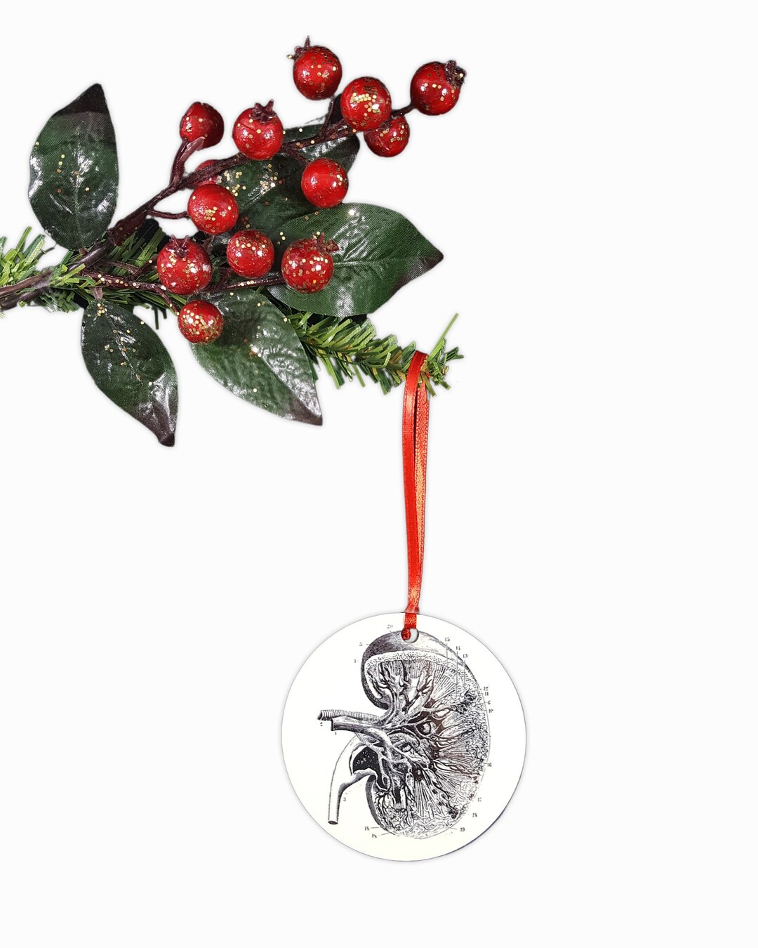 Kidney Christmas Ornament, Goth Christmas, Kidney Transplant, Urologist ...