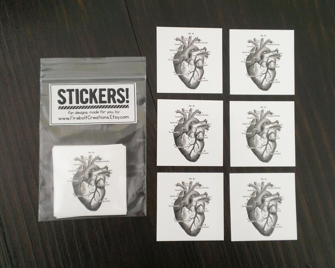 Anatomical Heart Stickers Medical Student Gift Nursing Student - Etsy