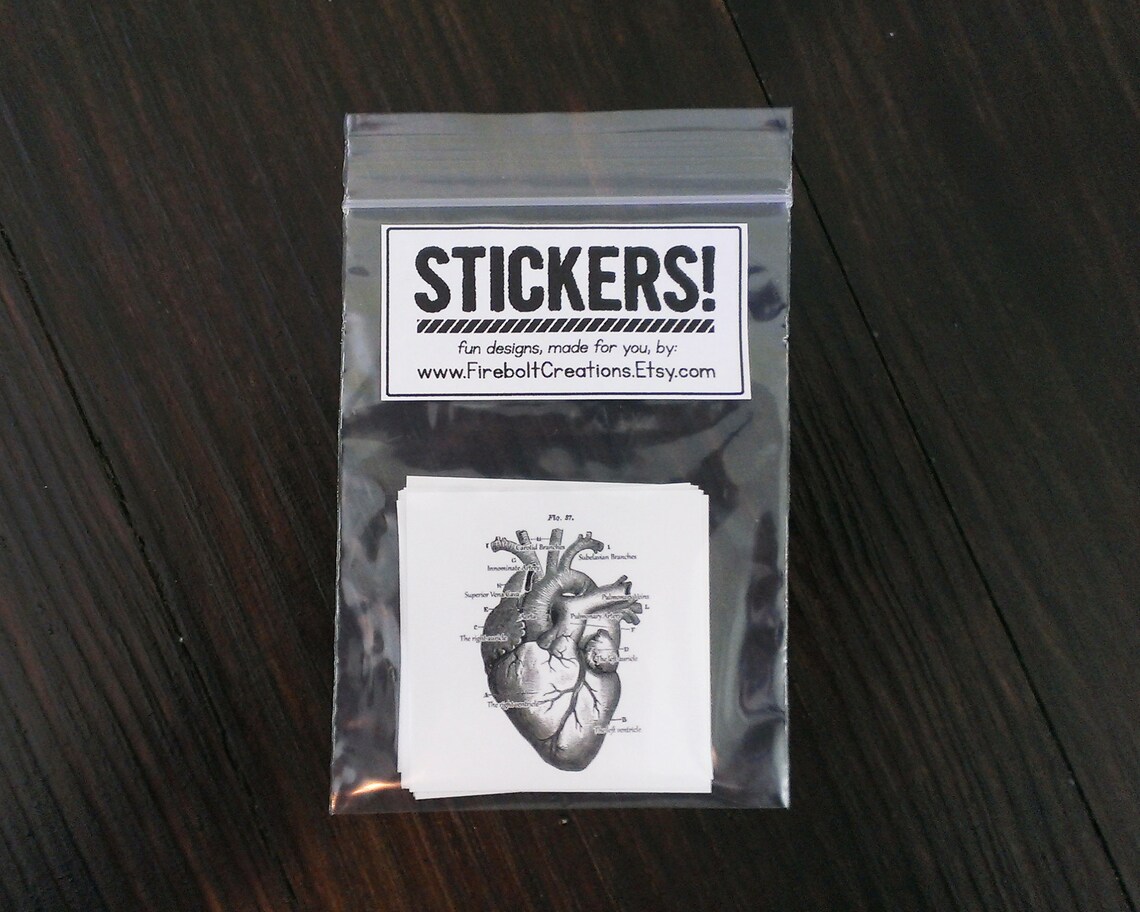 Anatomical Heart Stickers Medical Student Gift Nursing Student | Etsy