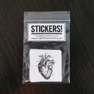 Anatomical Heart Stickers Medical Student Gift Nursing Student - Etsy
