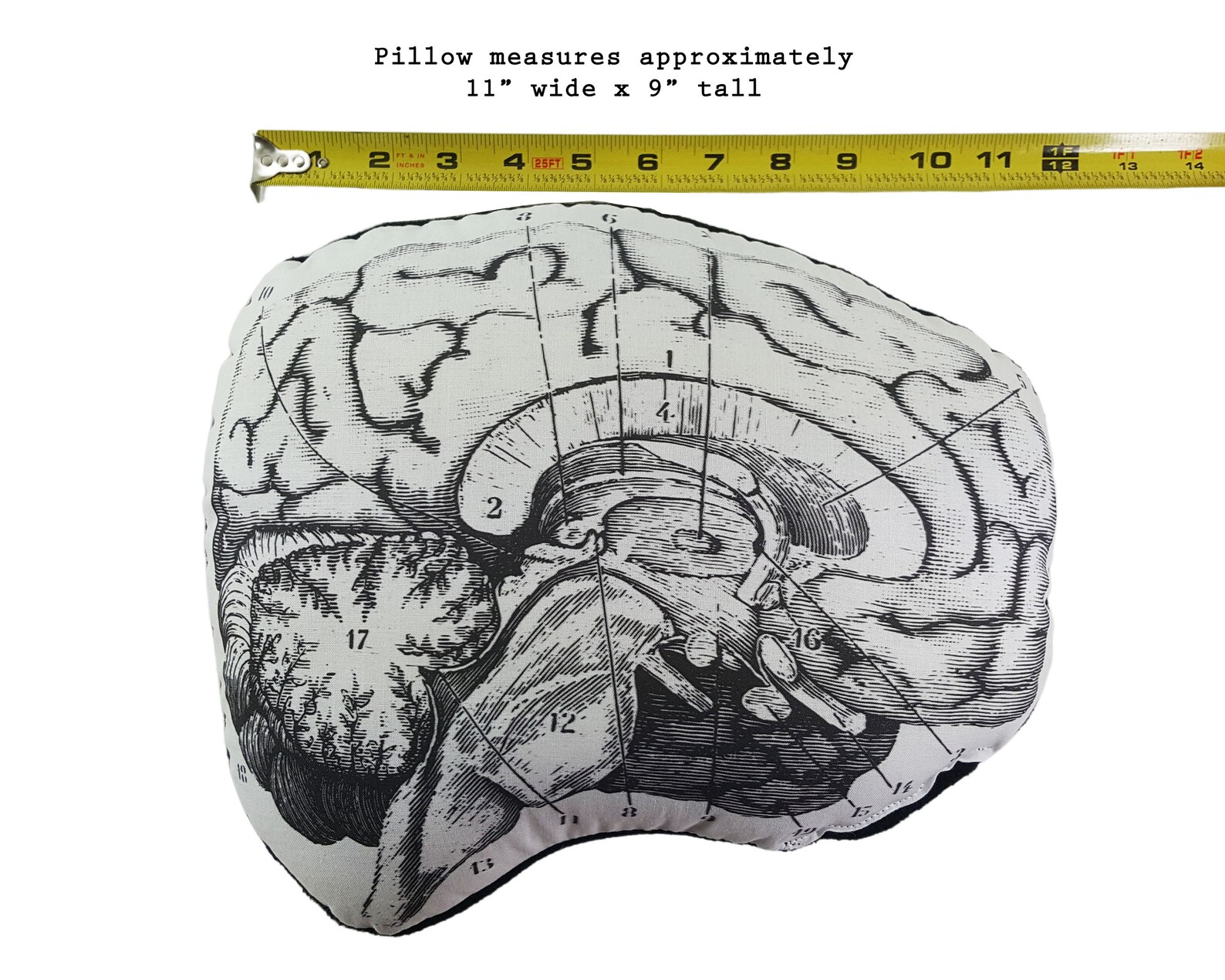 Brain Anatomy Pillow Neuroscience Psychologist Nurse Gift Medical ...