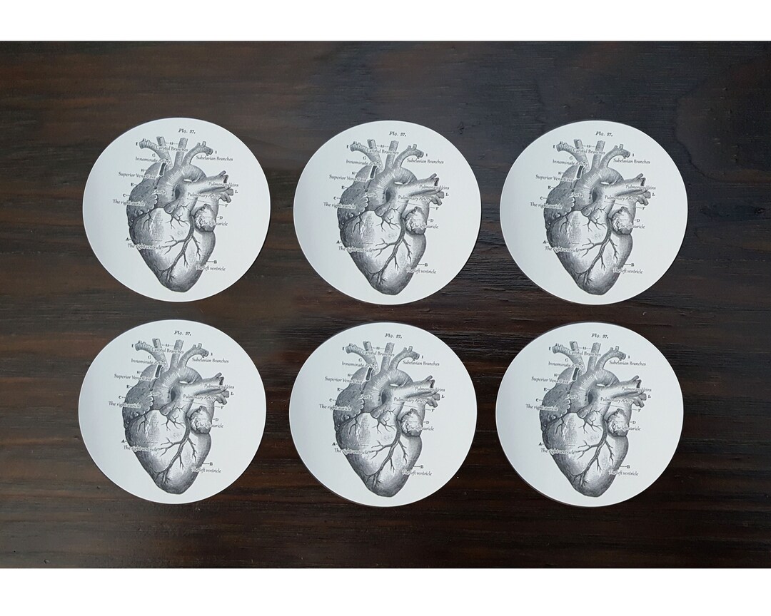 Anatomical Heart Stickers: Medical, Nursing, Goth Gift - Etsy