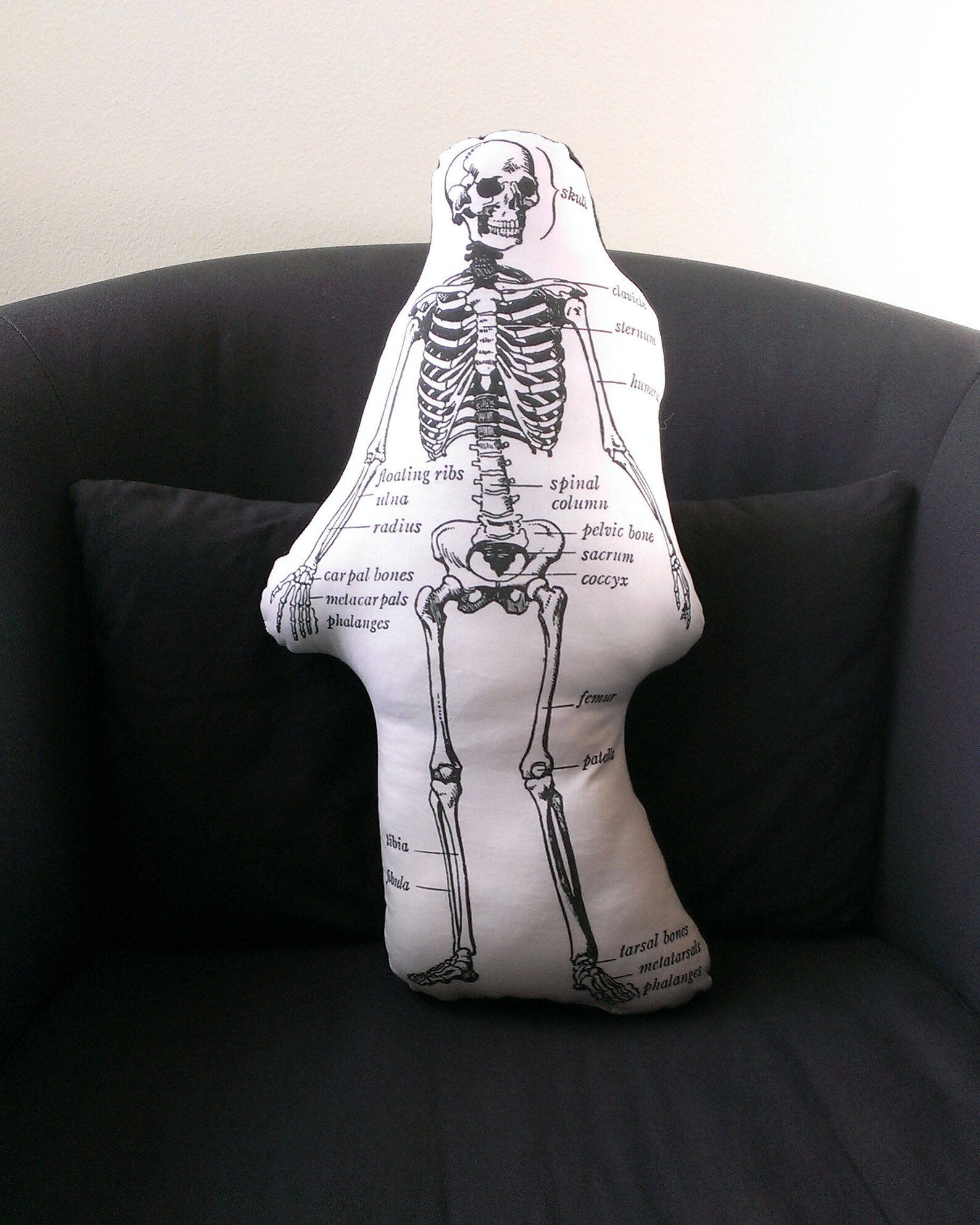 Anatomical Skeleton Pillow Gift for Surgeon Halloween Skull - Etsy