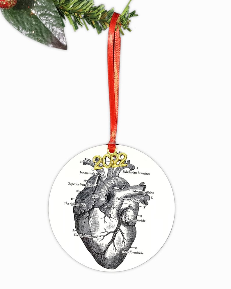 Anatomical Heart Christmas Ornament: Medical/nursing Student Gift - Etsy