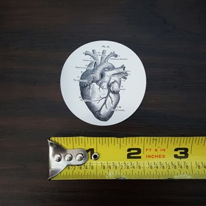 Anatomical Heart Stickers: Medical, Nursing, Goth Gift - Etsy