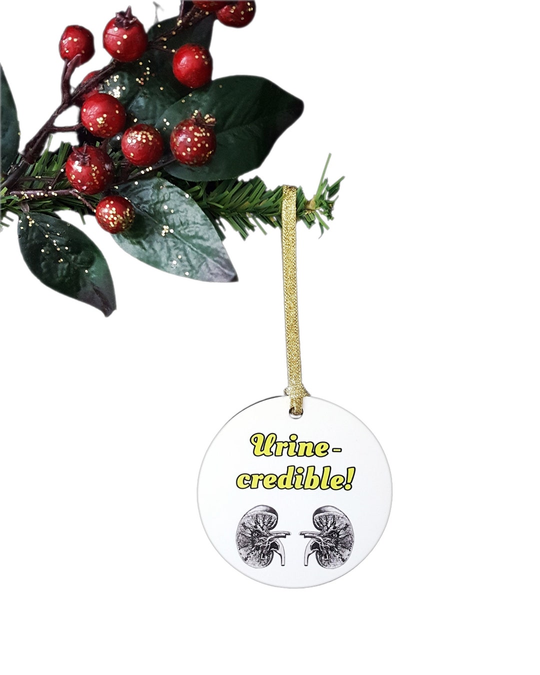 Kidney Ornament, Funny Christmas, Kidney Transplant, Stocking Stuffer ...