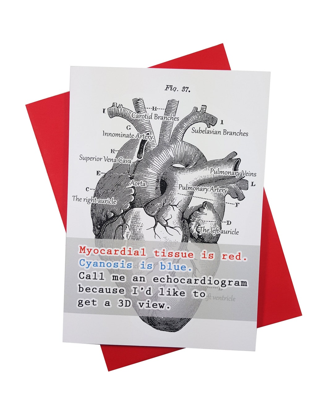 Valentines Day Card, Anatomical Heart, Nurse Gift, Anatomy, Anniversary ...