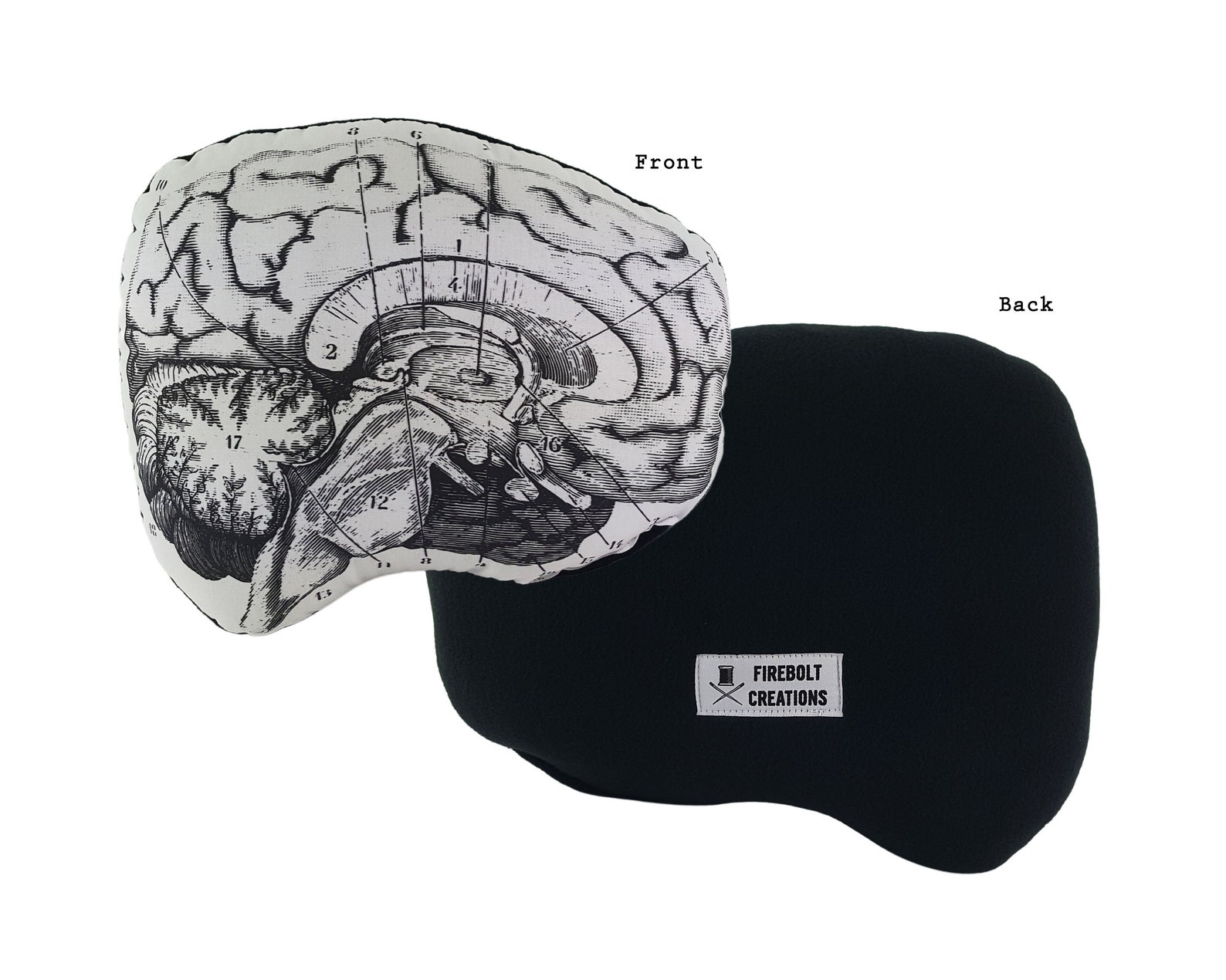 Brain Anatomy Pillow Neuroscience Psychologist Nurse Gift Medical ...