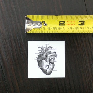 Anatomical Heart Stickers Medical Student Gift Nursing Student - Etsy