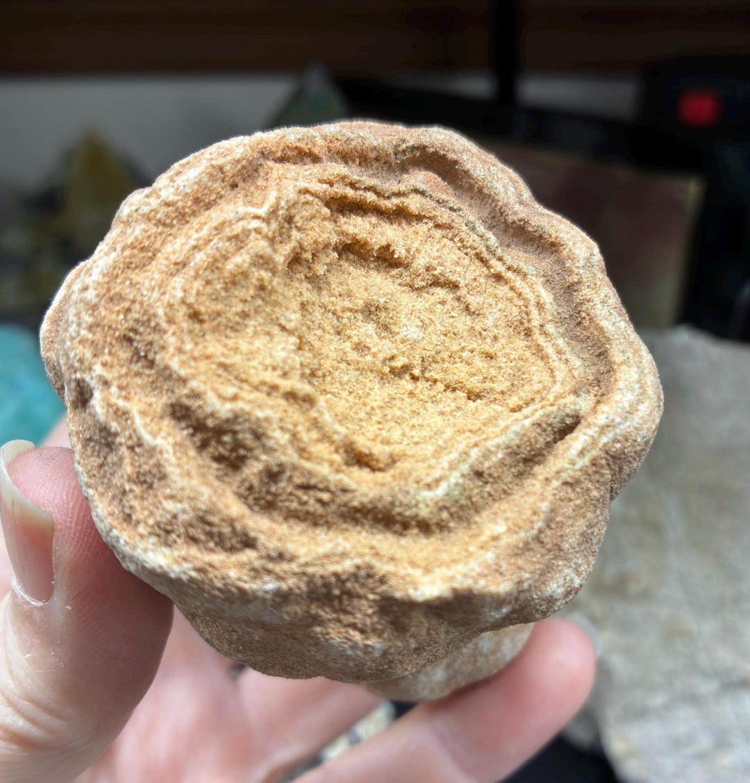 Gypsum Desert Rose — 276 G — Large Rosette Formation — Chihuahua Desert ...