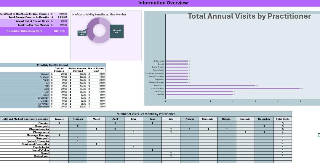 Benefits Tracker Excel Template | Health, PTO, Annual Analysis - Etsy