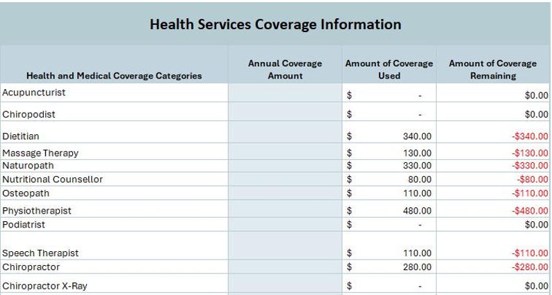 Benefits Tracker Excel Template | Health, PTO, Annual Analysis - Etsy
