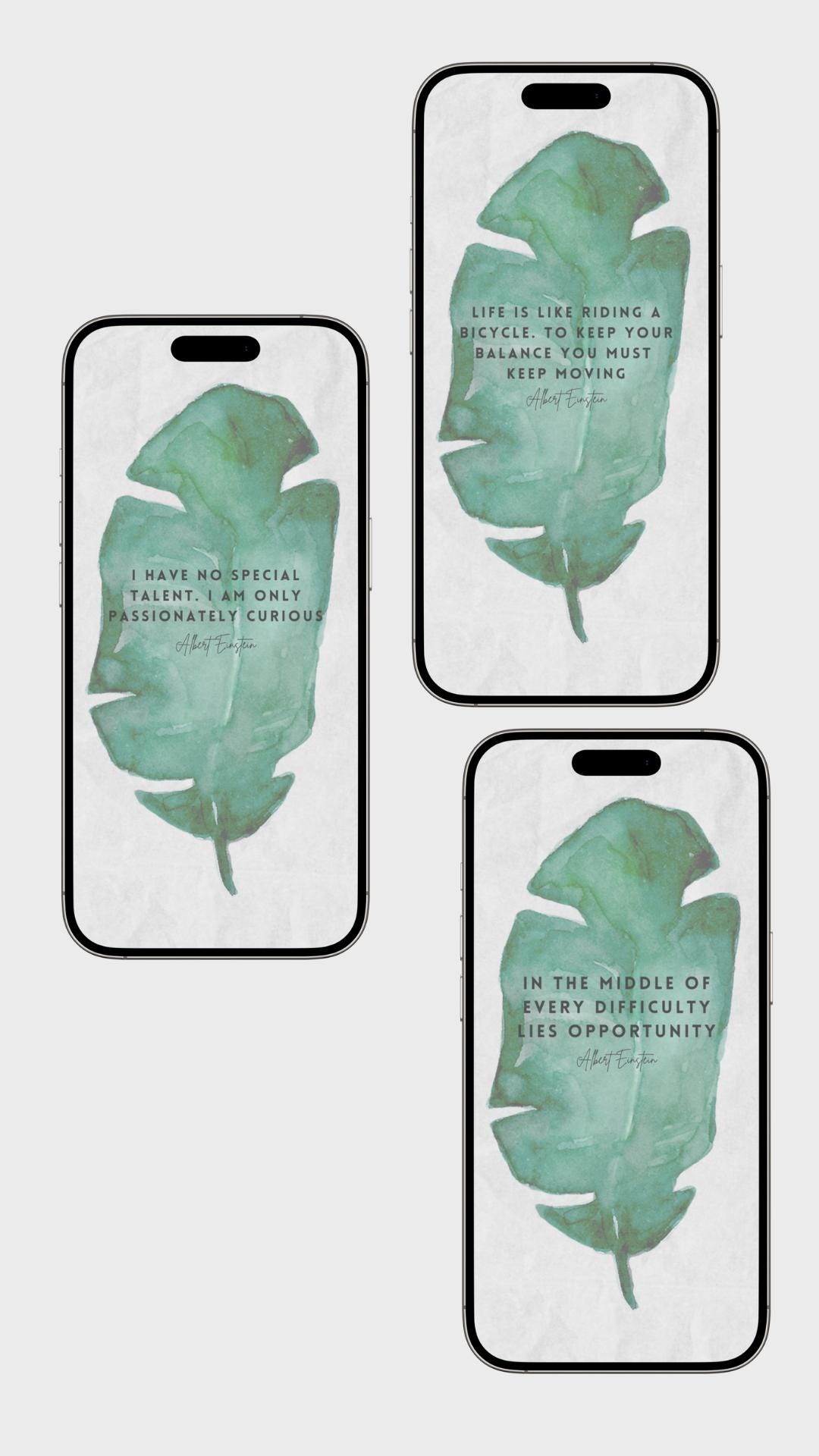 Package of 3 Albert Einstein Famous Inspirational Quotes for Phone ...