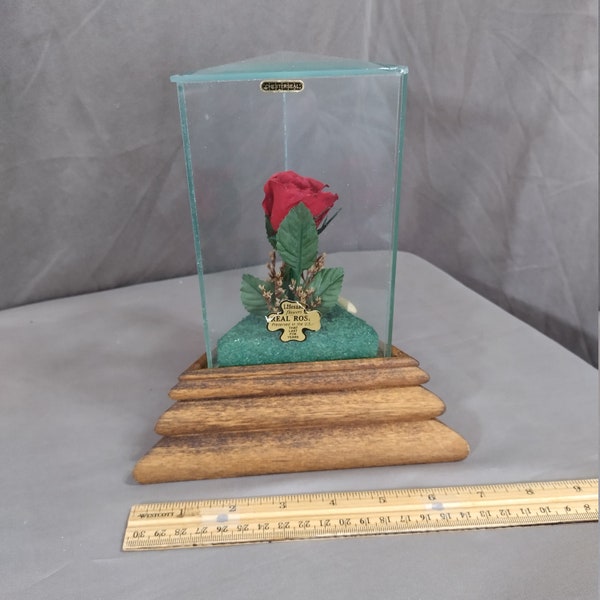 Vintage Music Box - Etsy