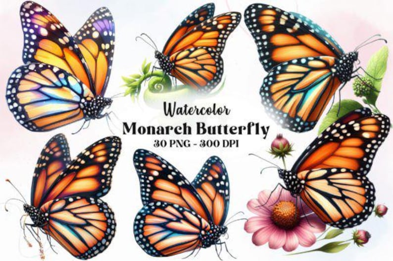 Monarch Butterfly Watercolor Clipart PNG Graphic Graphics Printable ...