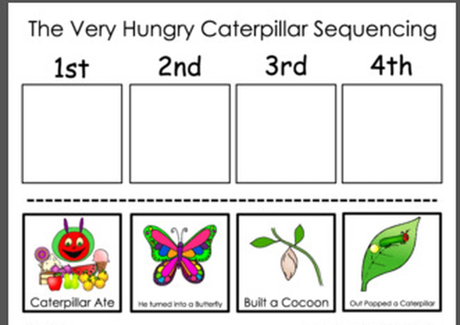 Lesson Plan on the Hungry Caterpillar - Etsy