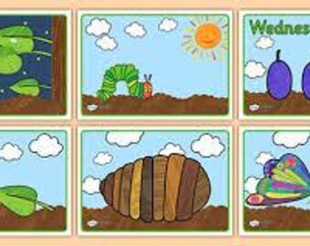 The Very Hungry Caterpillar Reading Activity | Preschool & Kindergarten ...