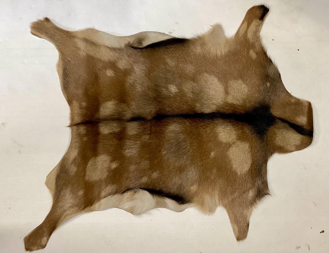 Brown and Black Hair on Goatskin. Leather Hide. Rug. EX1 - Etsy