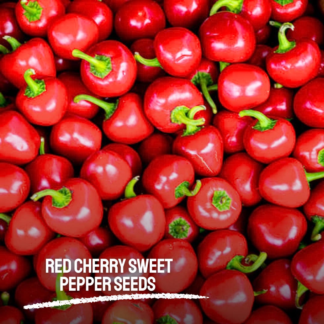 25 Red Cherry Sweet Pepper Seeds: Heirloom, Non-gmo - Etsy