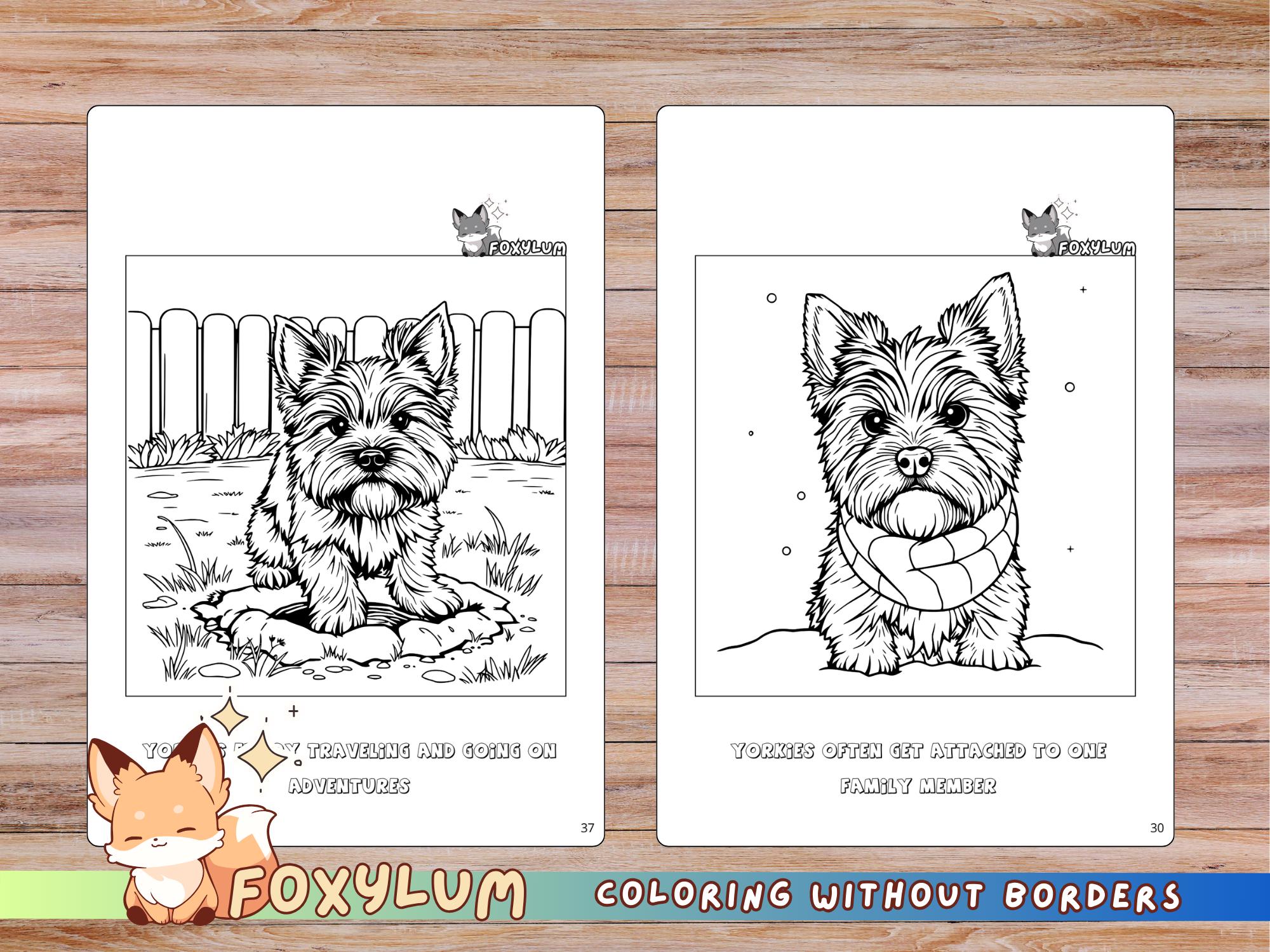 100 Yorkie Coloring Pages + Facts, PRINTABLE Dogs Coloring Book Bundle ...