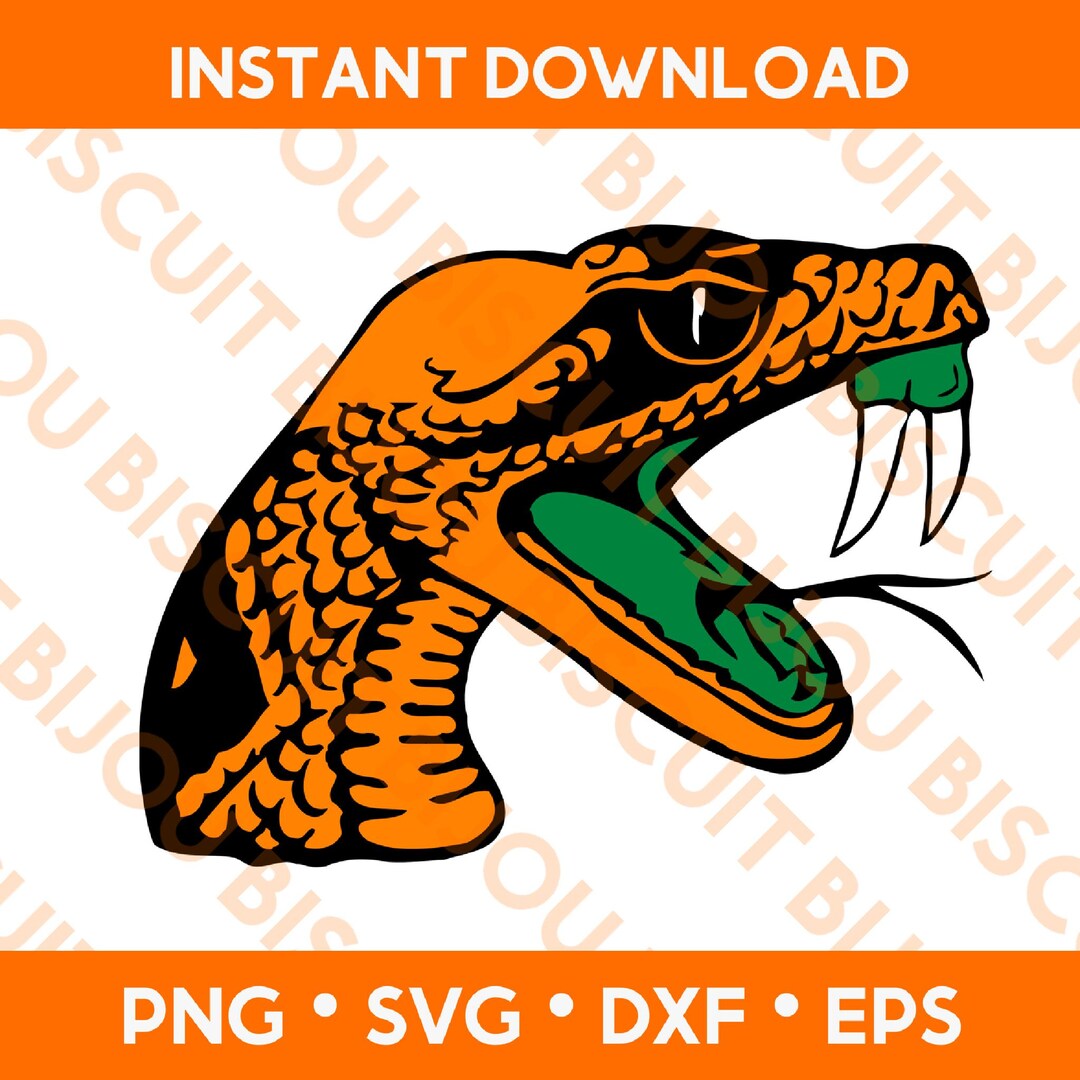 FAMU Rattlesnake SVG | Florida A&M University Svg | HBCU Pride Svg ...