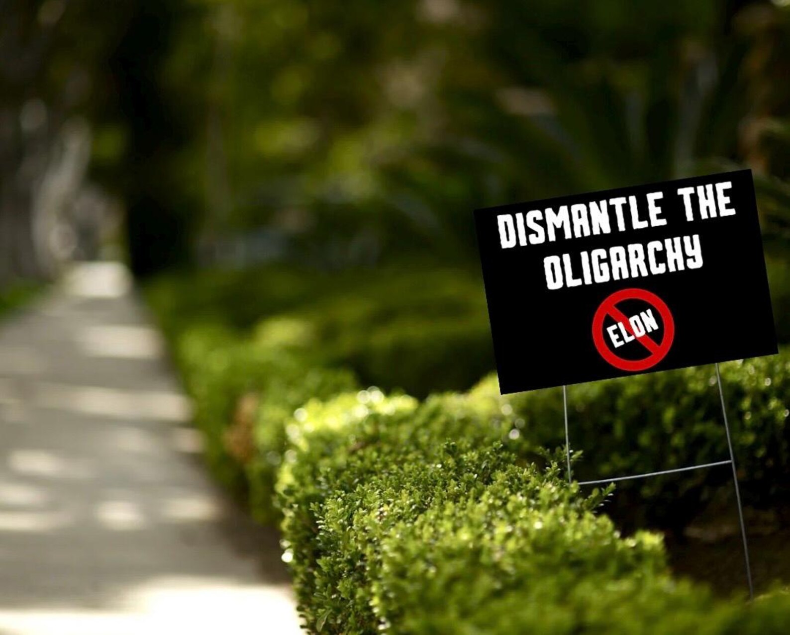 Dismantle the Oligarchy Yard Sign, Protest Sign Stop the Coup Stop Musk ...