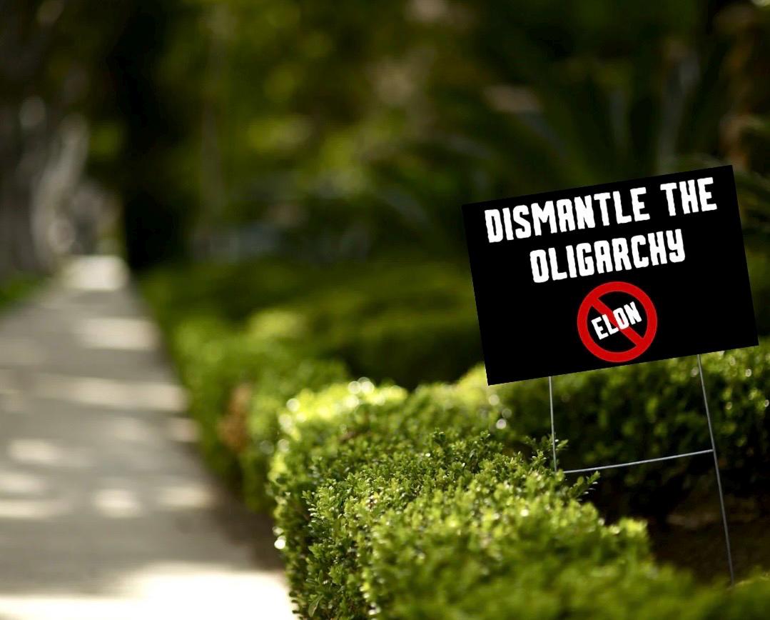 Dismantle the Oligarchy Yard Sign, Protest Sign Stop the Coup Stop Musk ...