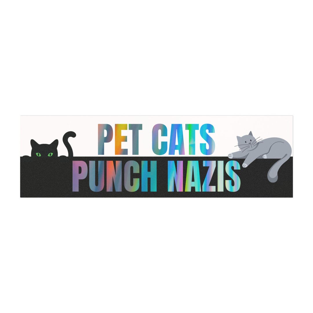 Car Magnet | Pet Cats Punch Nazis | Anti-racism Car Decal | Anti-elon ...