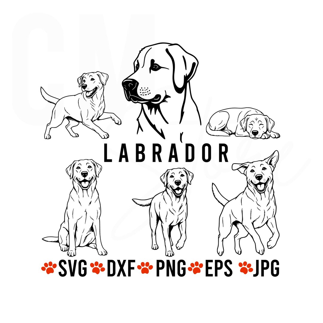 Labrador Retriever SVG Bundle | 6 Labrador Dog SVG | Lab Puppy Cut ...