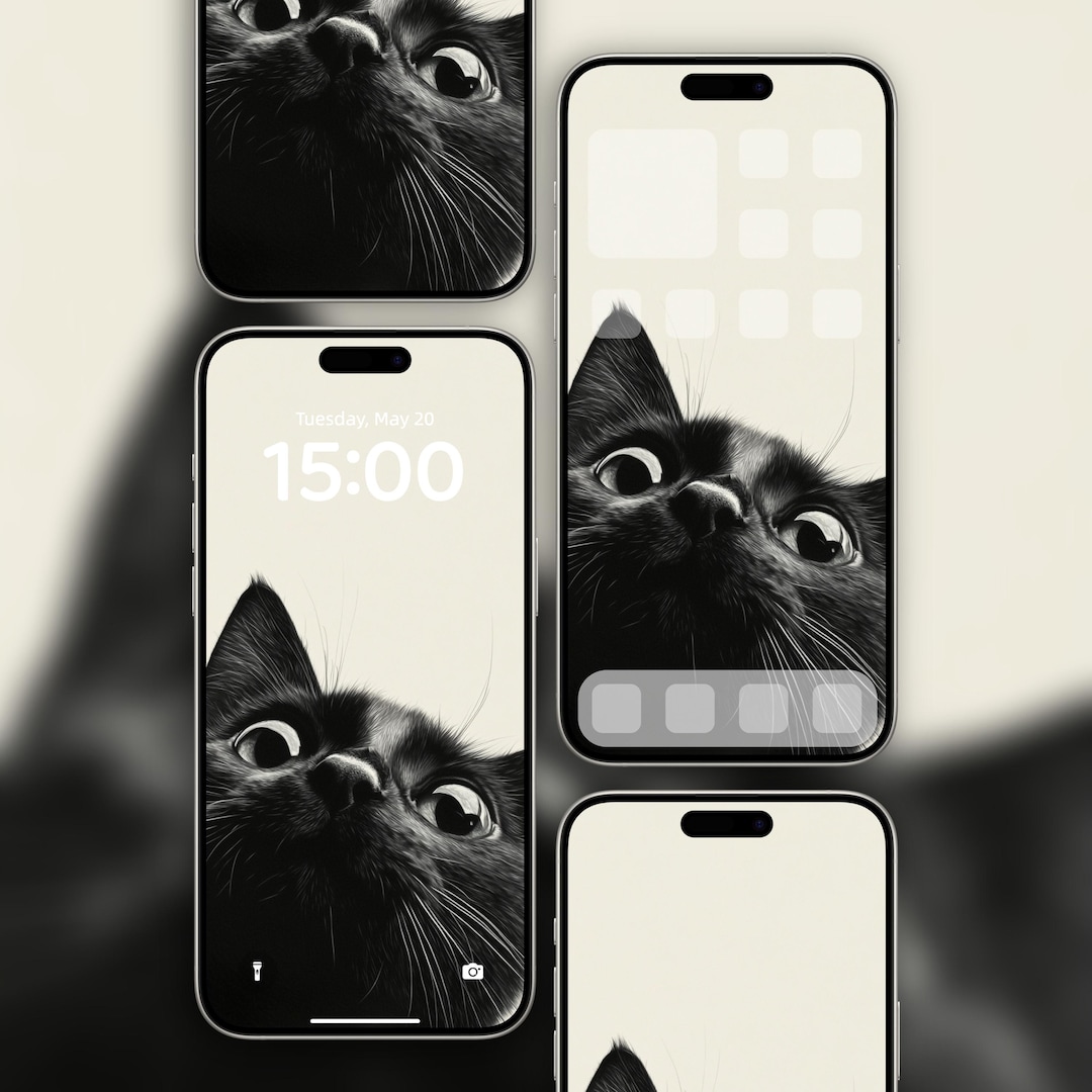 Cat's Gazing iPhone Wallpaper, Simple Smartphone Lock Screen, Ios Phone ...