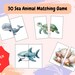 30-sea Animals Matching Game for Kids, Matching Activity, Montessori ...