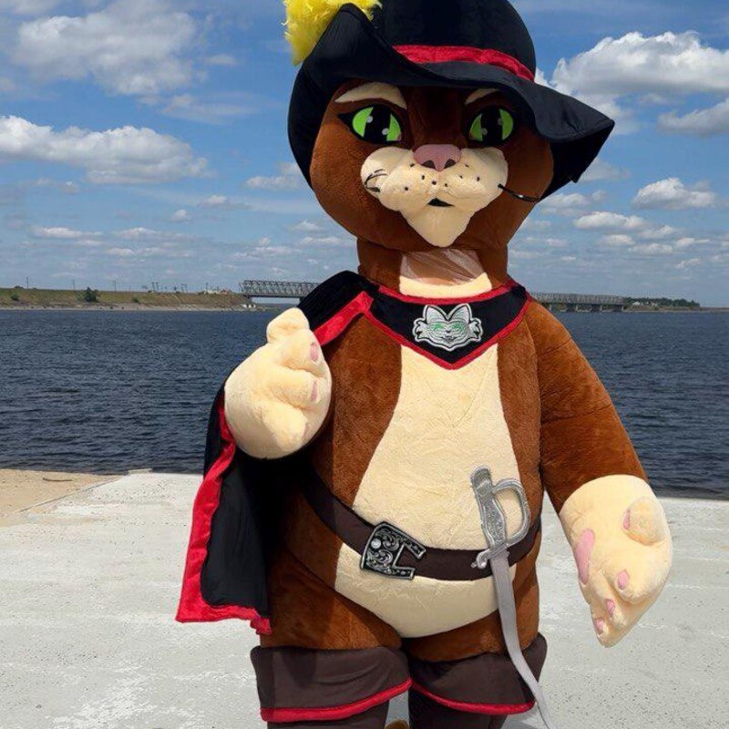 Labubu Inflatable Costume - Etsy