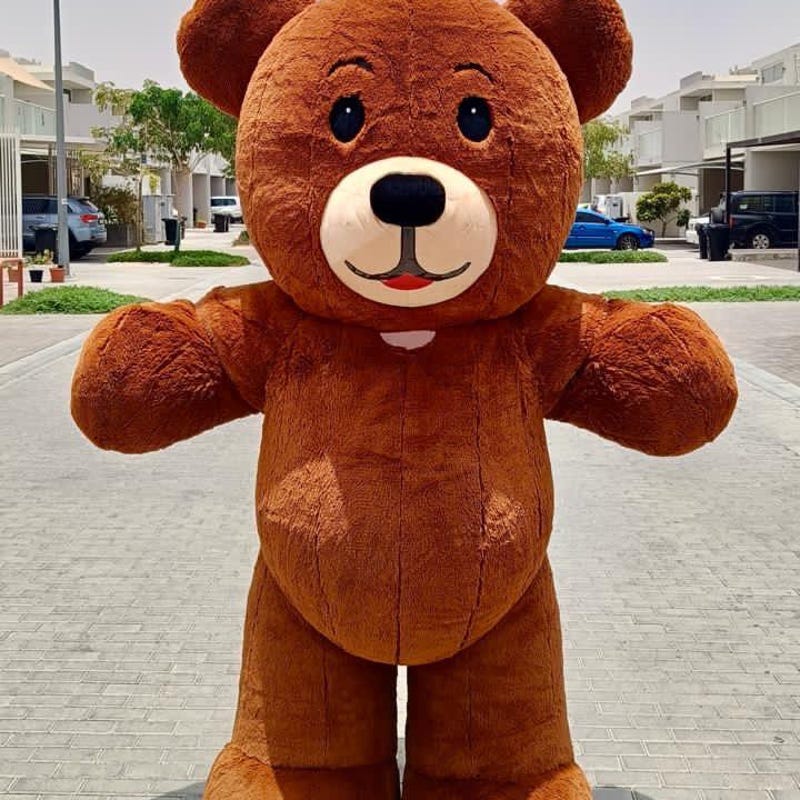 Labubu Inflatable Costume - Etsy