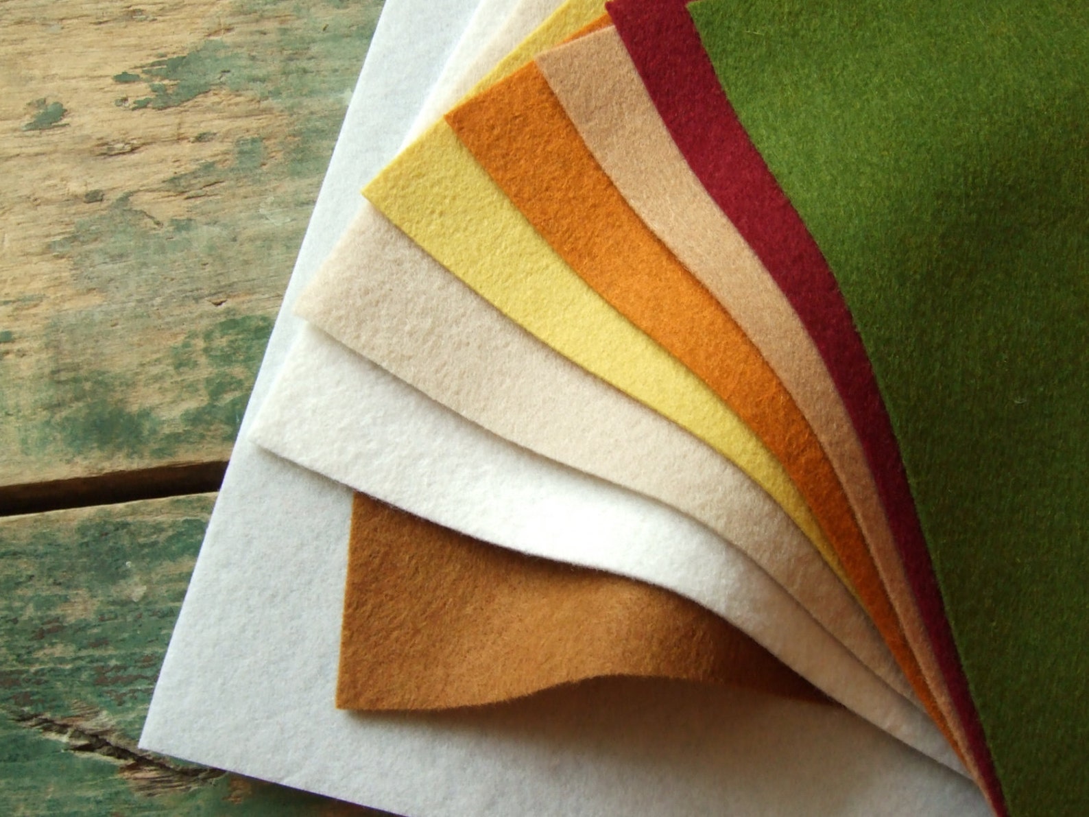 Felt Pack to Make Our Holiday Turkey Dinner - Etsy