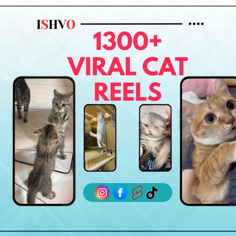 Ai Videos Funny Reels - Etsy