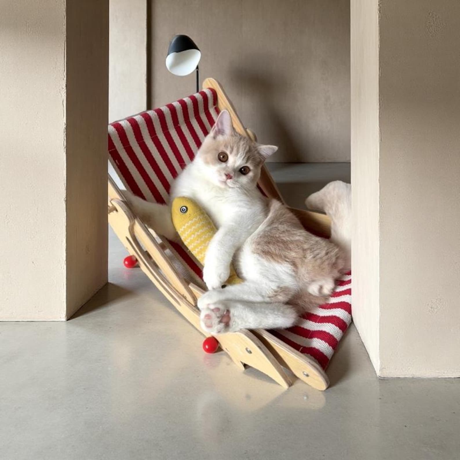 Cat Rocking Chair - Cosy Pet Furniture - Gift for Pets - Etsy