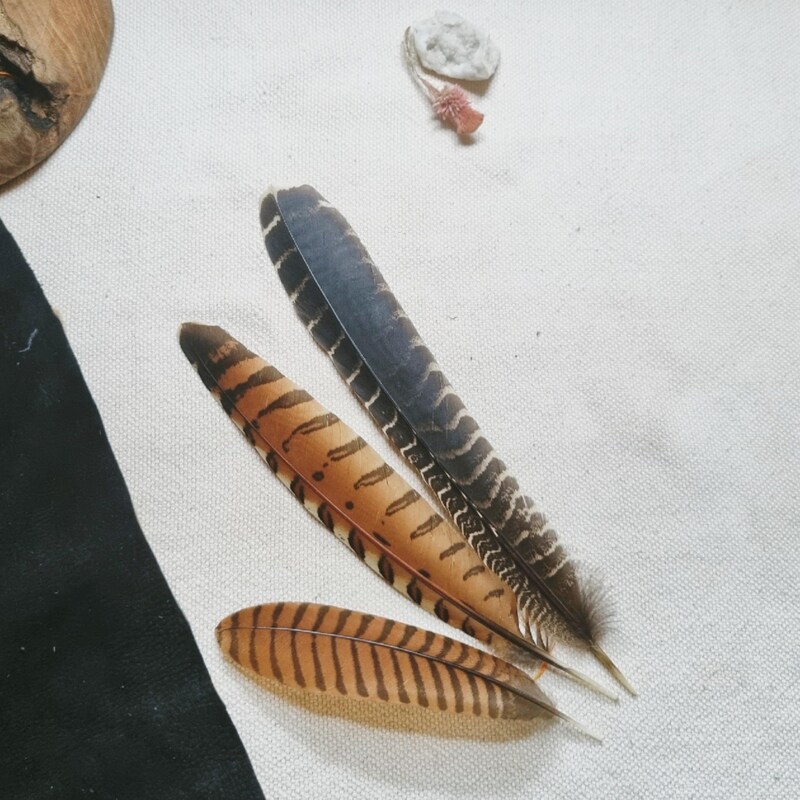 Craft Feathers - Etsy