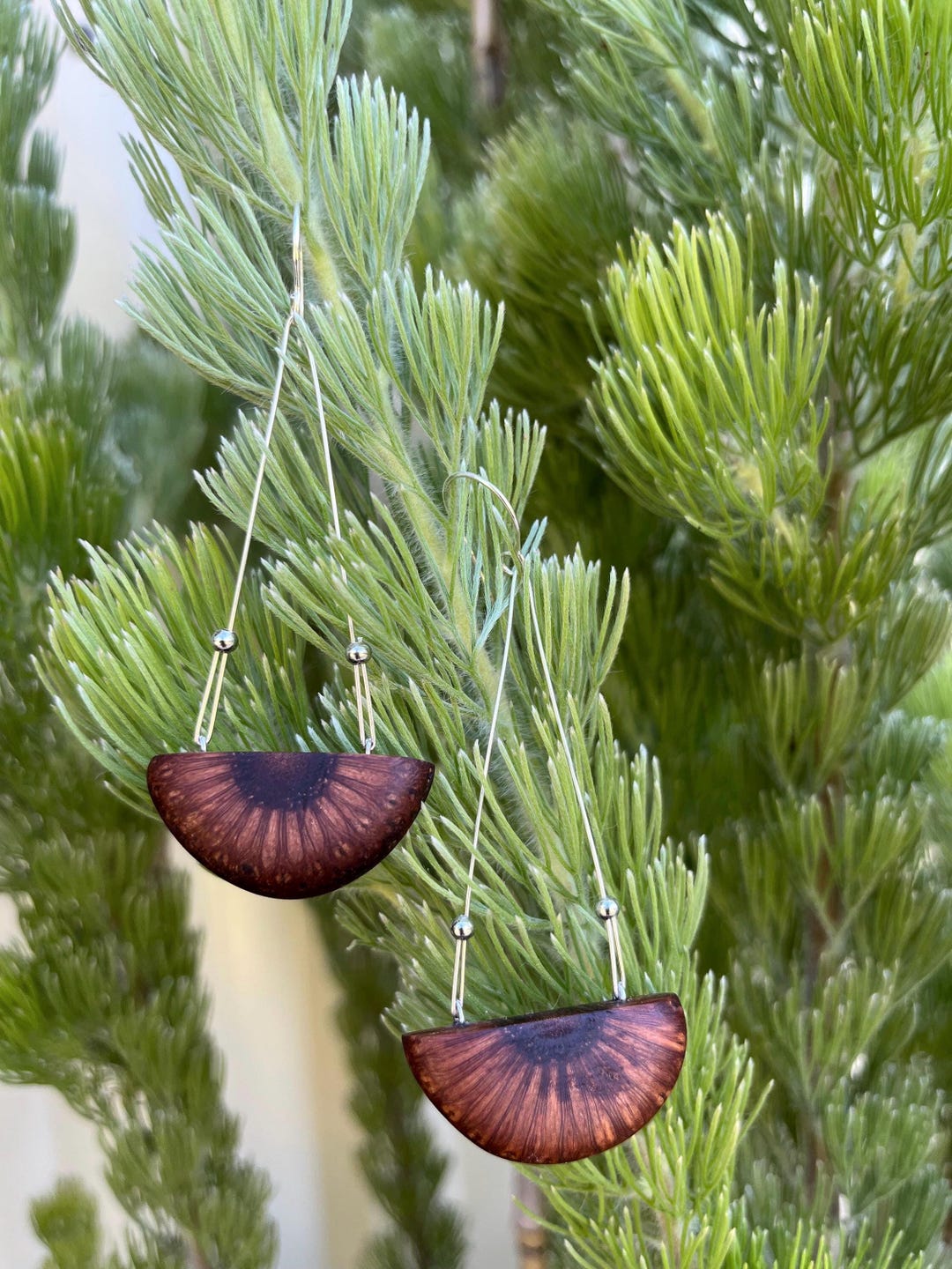 Sterling Silver & Banksia Nut Half Moon Earrings - Etsy