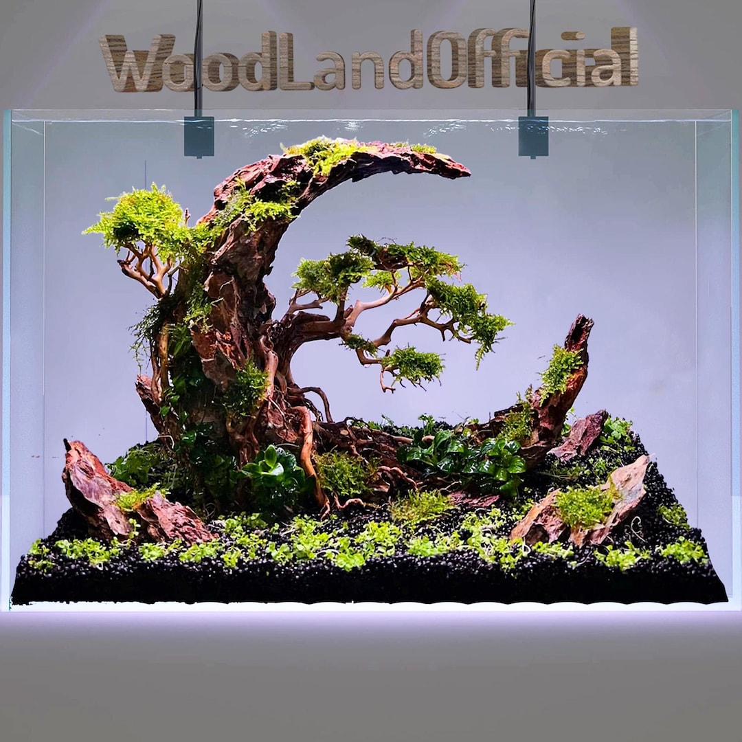 Aquarium Rock Dragon Stone Aquascaping Hardscape Bonsai Aquascape ...