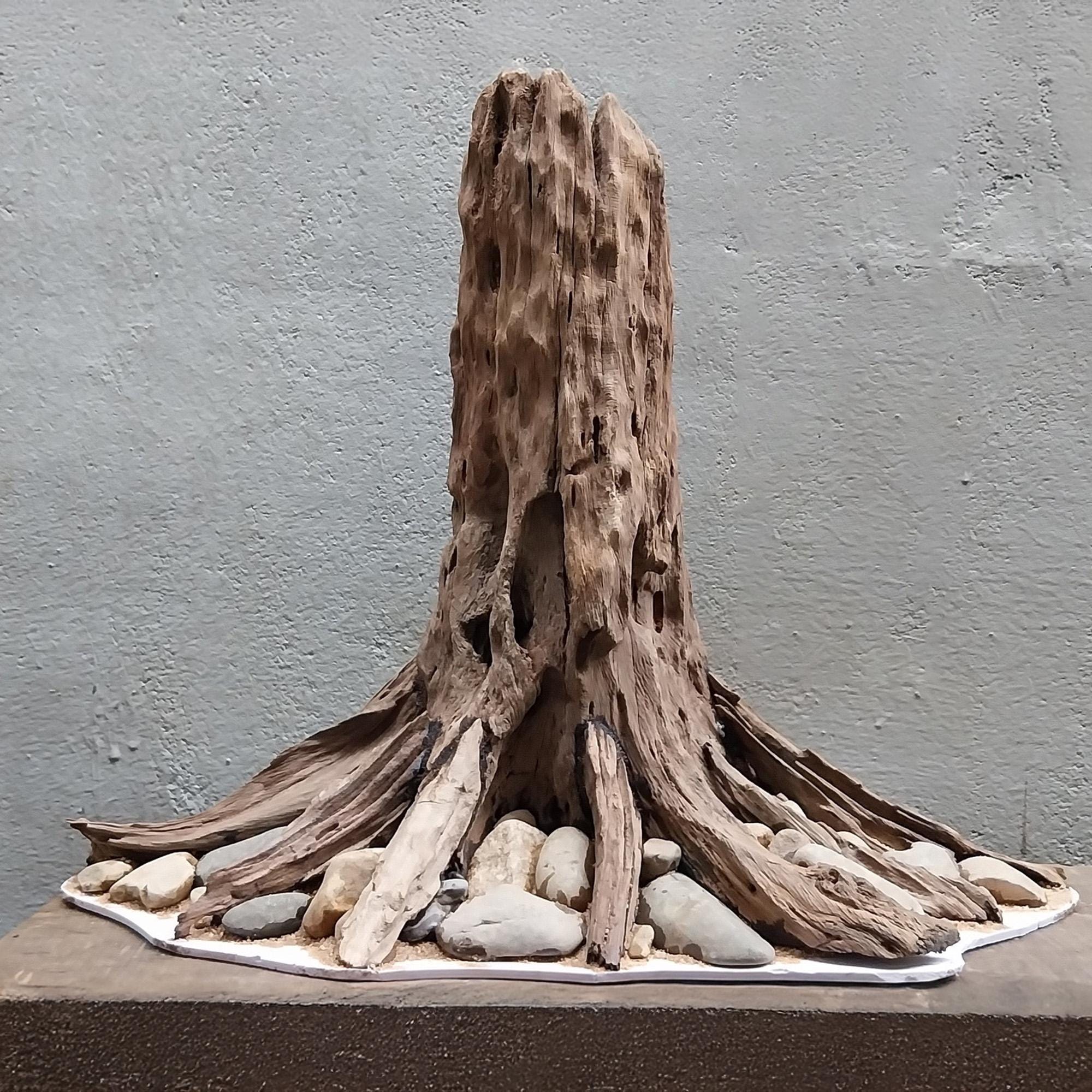 Aquarium Driftwood Stump Tree Aquascape Bonsai Wood Hardscape Plants ...