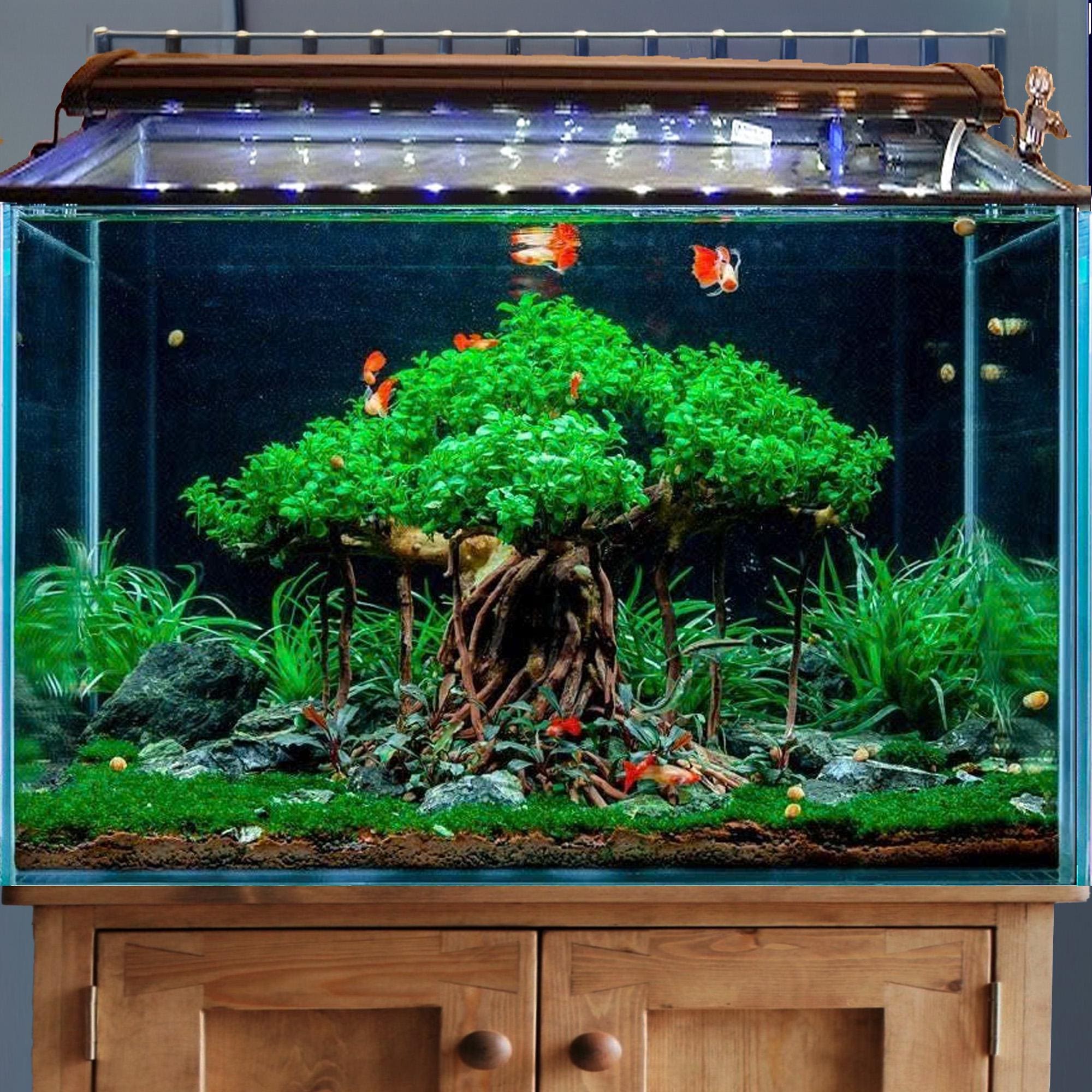 Aquarium Driftwood Bonsai Tree Aquascape Drift Wood Bonzai Plant ...